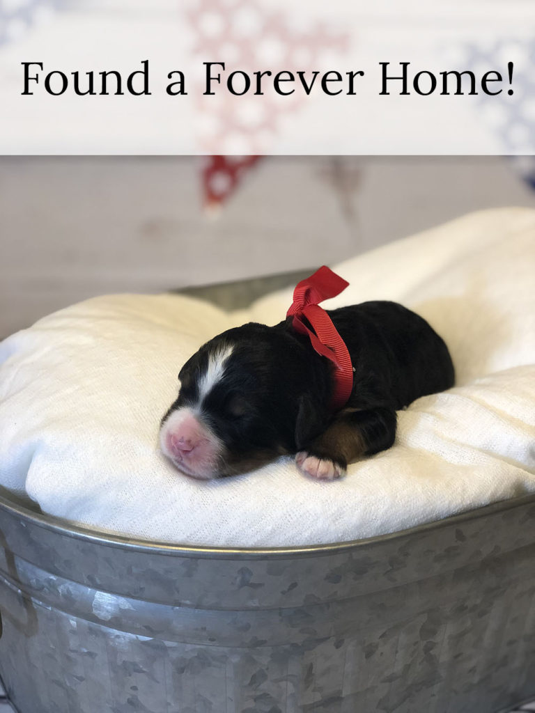 Red – Female – Freedom Doodles